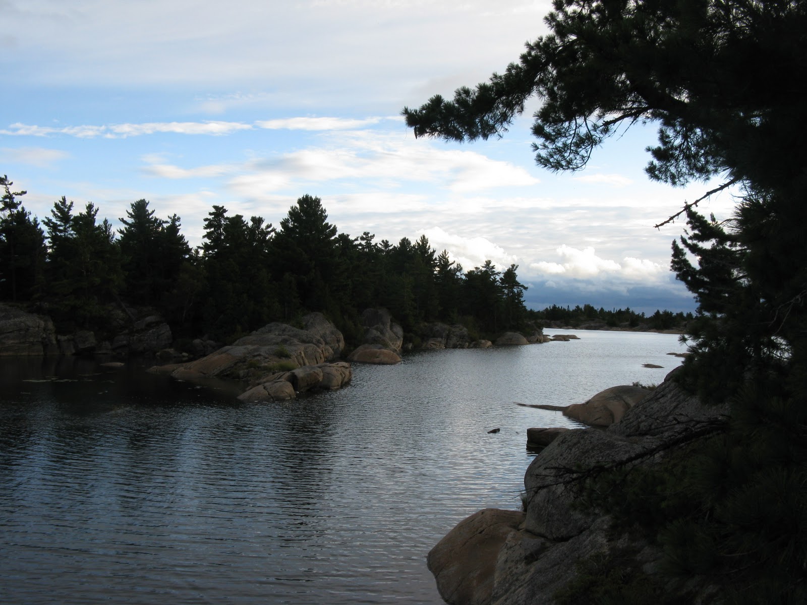 mastertangler: Fox Bay via Fox creek/Georgian Bay