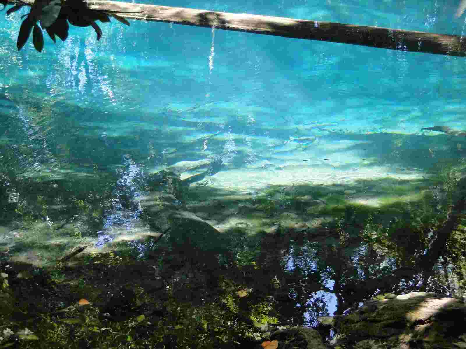 Aventuras no Planalto Central: Poço Azul - Formosa/GO