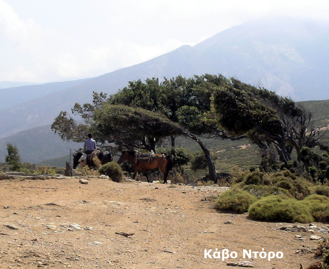 ΕΛΛΗΝΙΚΗ ΦΥΣΗ: CAVO NTORO