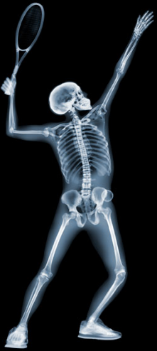 Ultimate Examples of X-Ray Photography by Nick Veasey | ~Spicx~