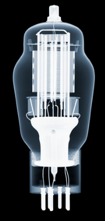 Ultimate Examples of X-Ray Photography by Nick Veasey | ~Spicx~