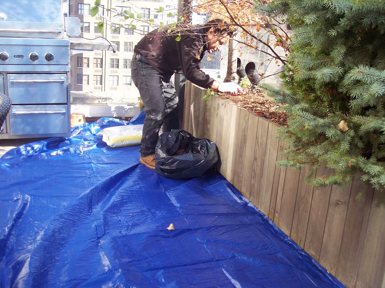 Rooftop Gardens NYC: Root Pruning Container Plants
