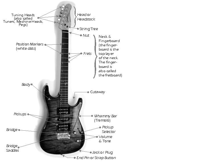 learn guitar: Guitar Structure