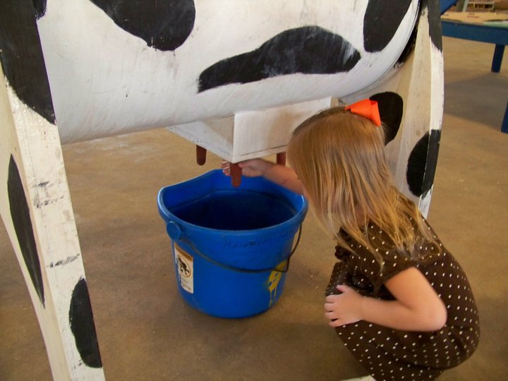 Ada Marie & Benjamin: More Fair: the 'Pretend Cow'