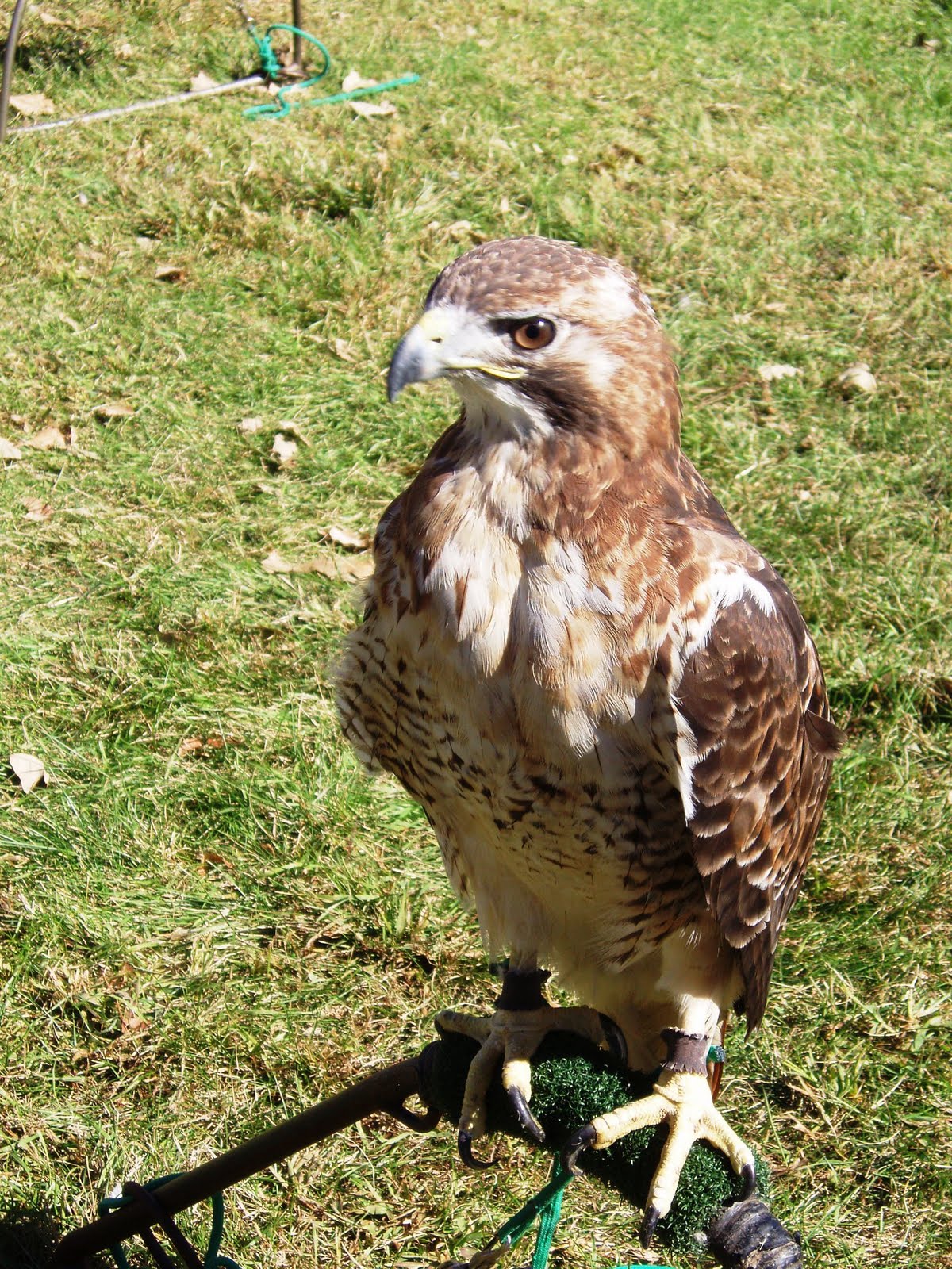 History and Culture by Bicycle: History and Culture by Bicycle Part 211 ...