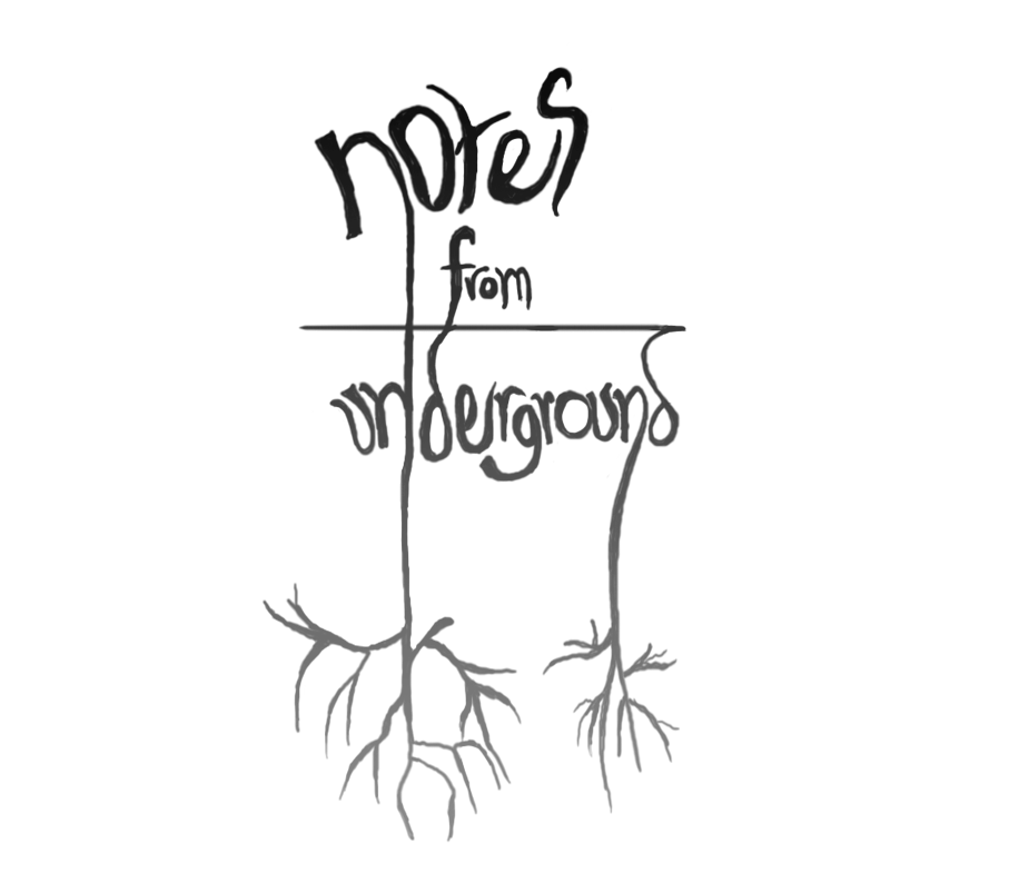 The Literary Lab: Our Second Annual Contest: Notes From Underground