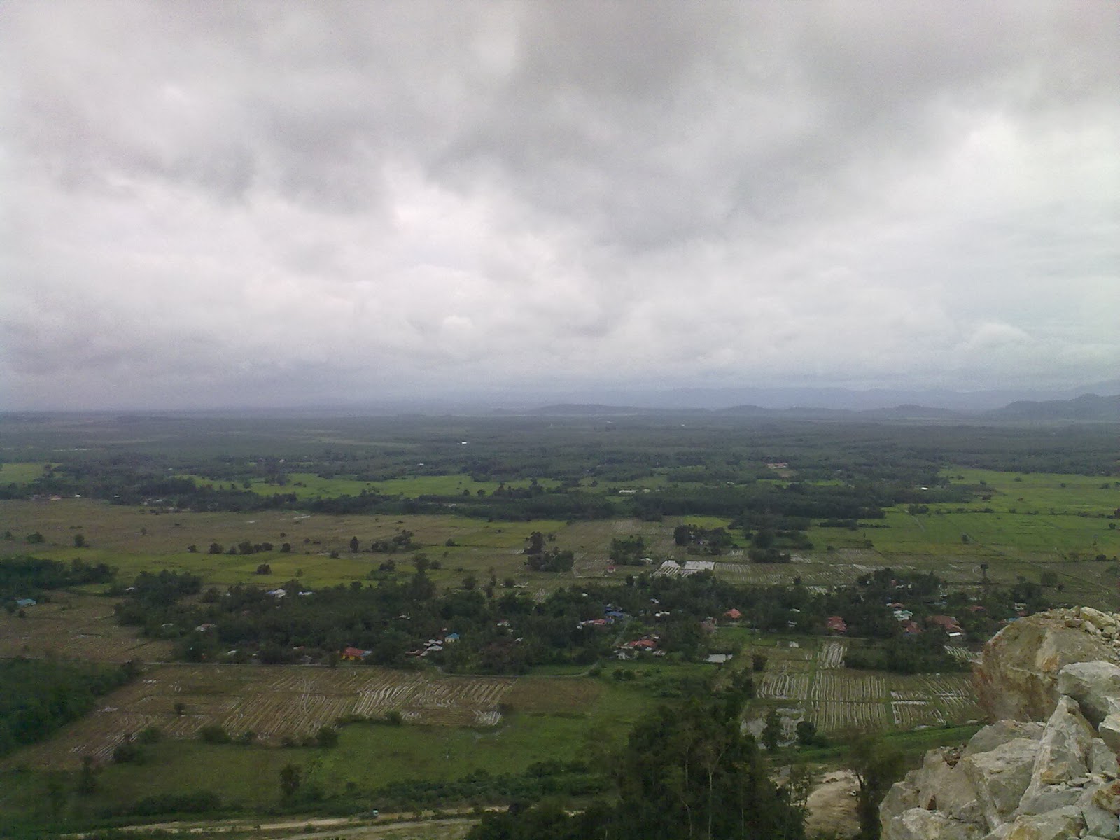 My First Week In CIMA Perlis | Ulat Didalam Batu