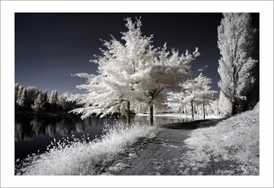 Info-GraFX: 21 superbes photo infrarouge