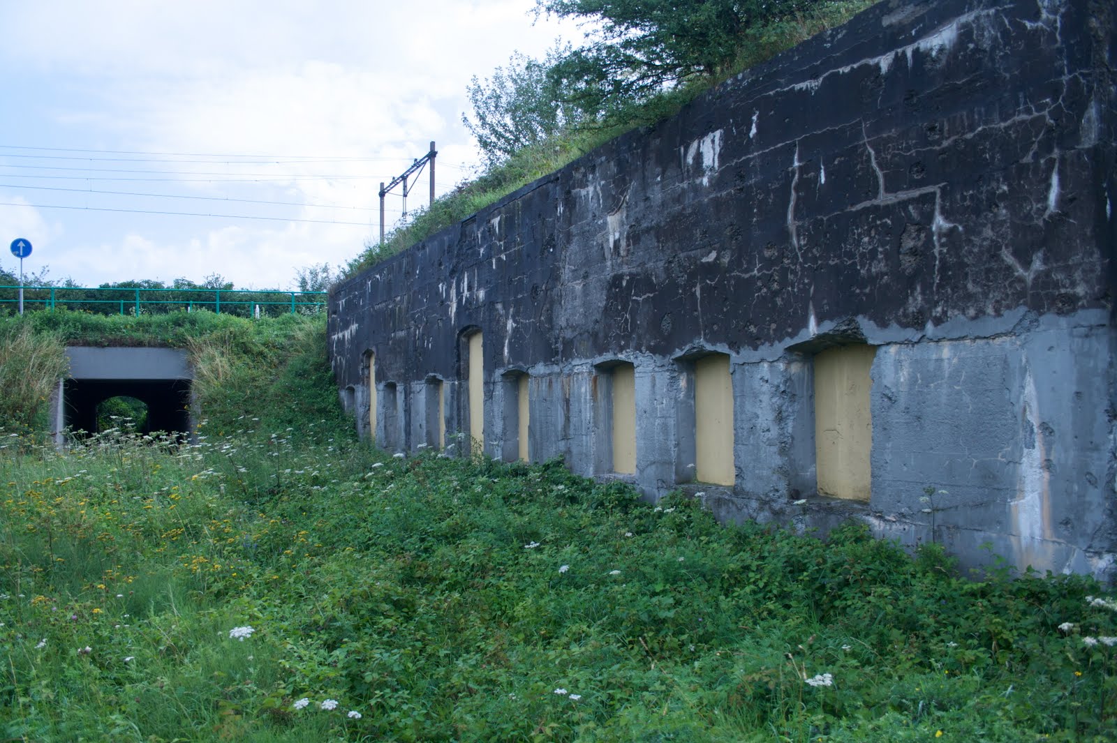 secretarisvogel: Buitengebied: Fort Westervoort