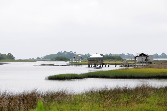Cedar Key (Florida) Photos: 2/8/09 - 2/15/09