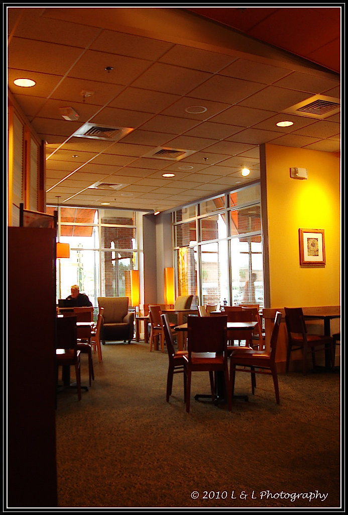 Ocala, Central Florida & Beyond: Panera Bread restaurant - an interior shot
