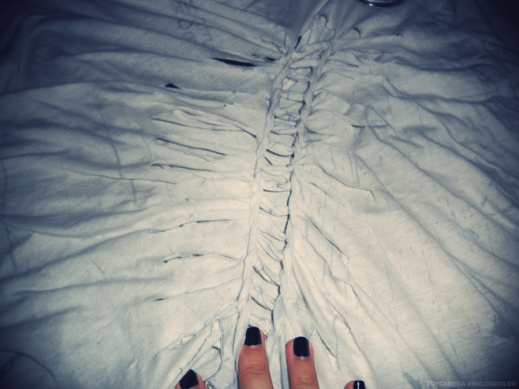 sica's shot: DIY Braided Shirt