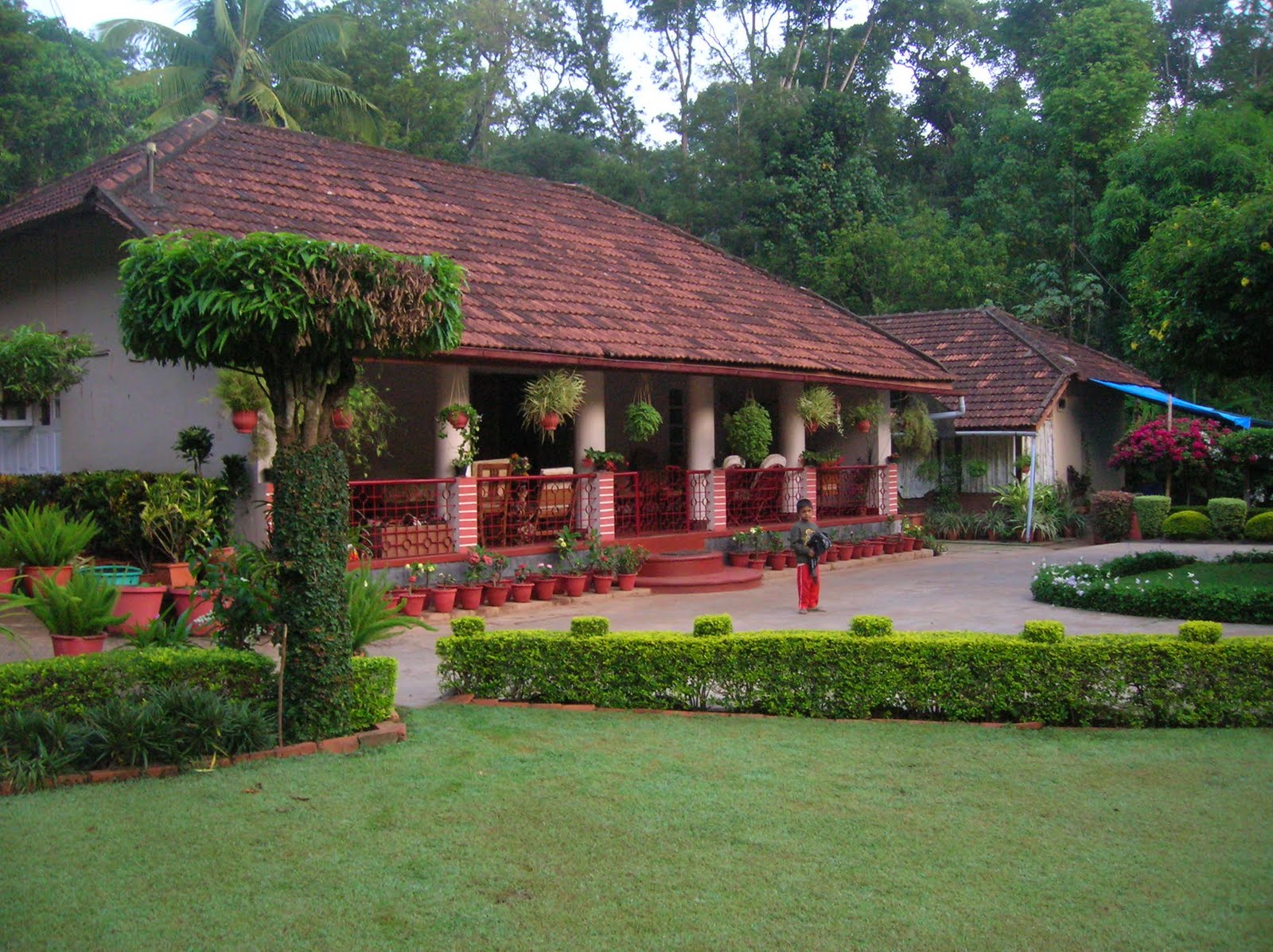 Come, see the world through my eyes: A coffee scented holiday in Coorg