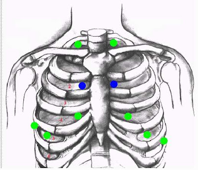 Breathing Sound Auscultation Download