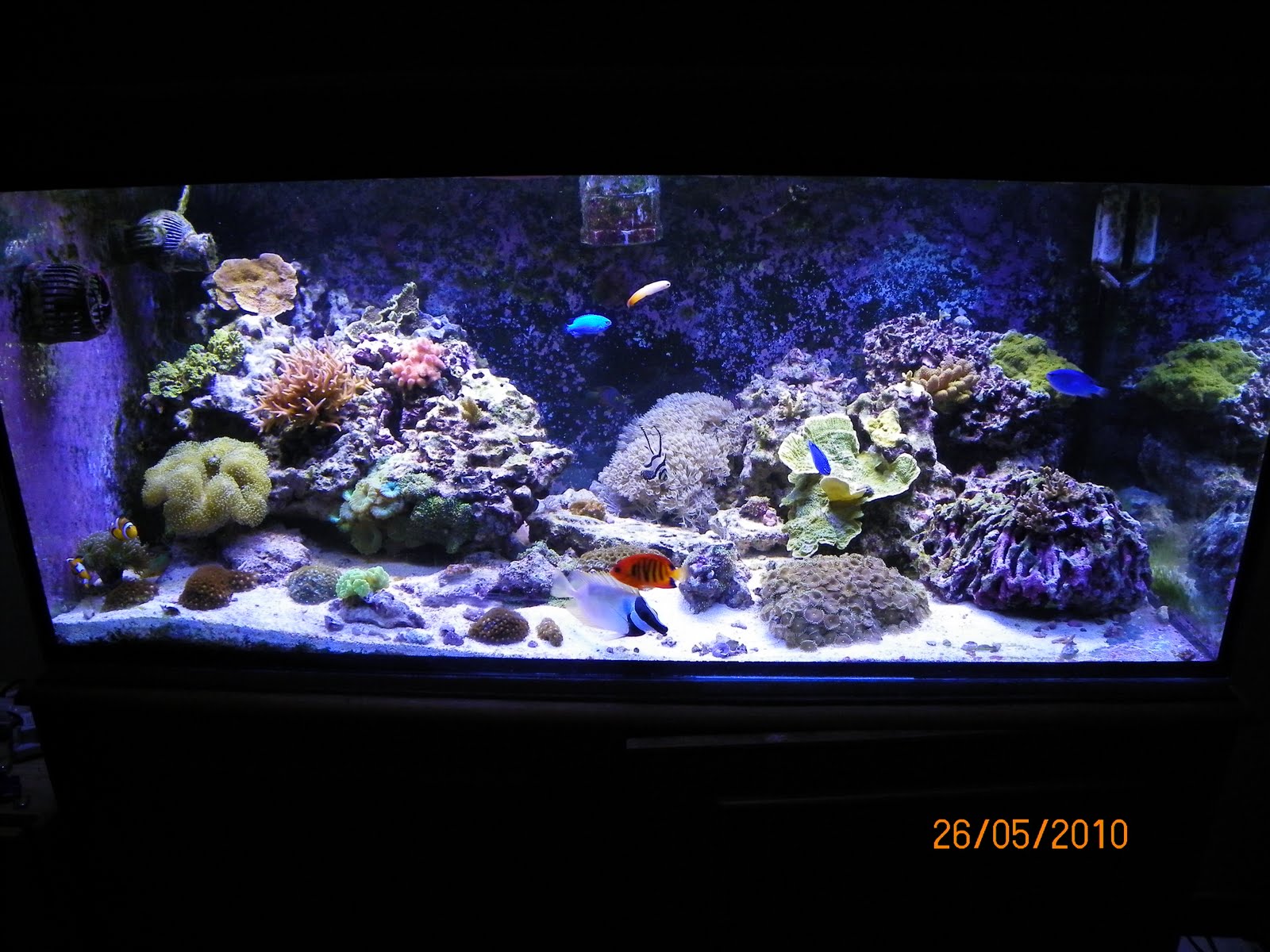 DIY leds...now with arduino Controlled lights... | Reef Central Online ...