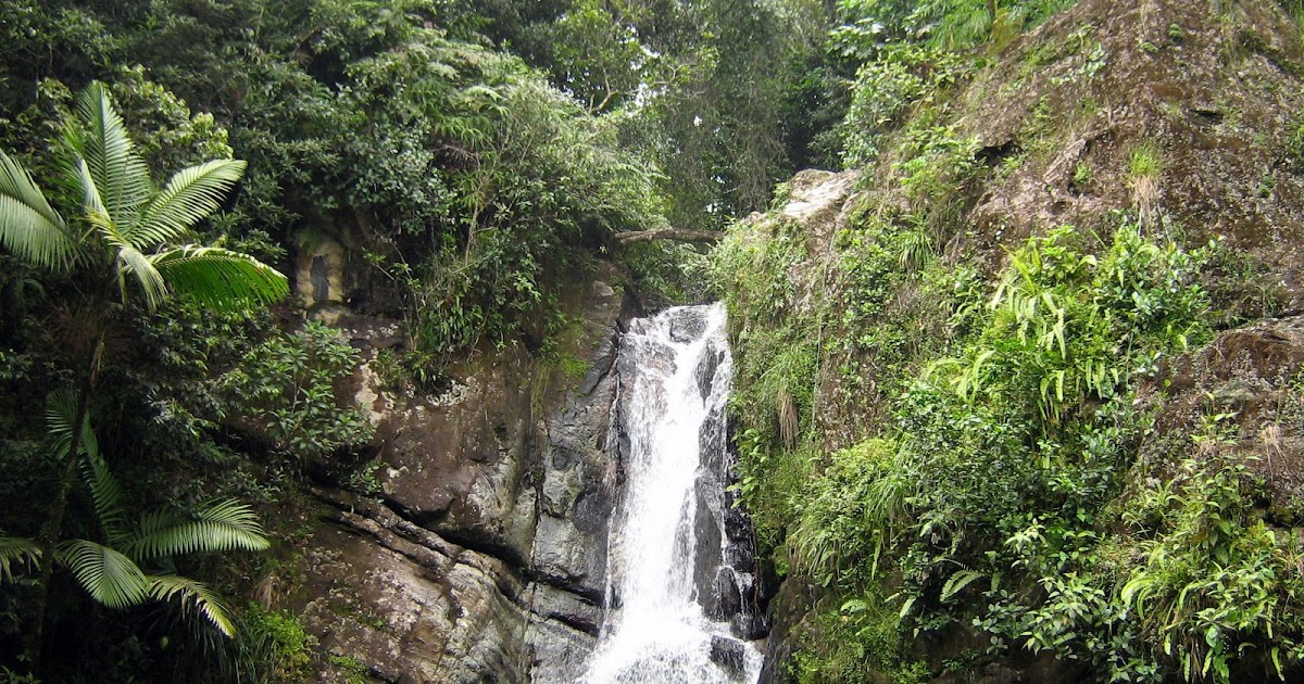 En busca de la cuadratura del círculo: El Yunque