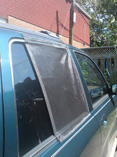 Heading West: Car Window Screens...