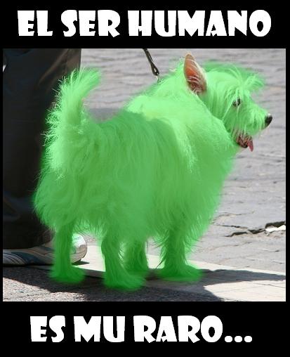 El Asteroide: EL SER HUMANO ES RARO, RARO, RARO...