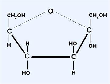 La fructosa entre nosotros: la formula de la fructosa