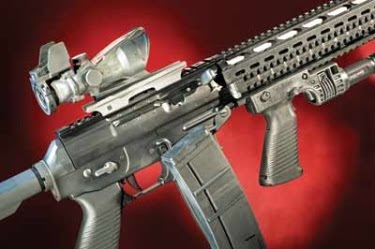 collection of variety guns: SIG Sauer 556 Assault Rifle