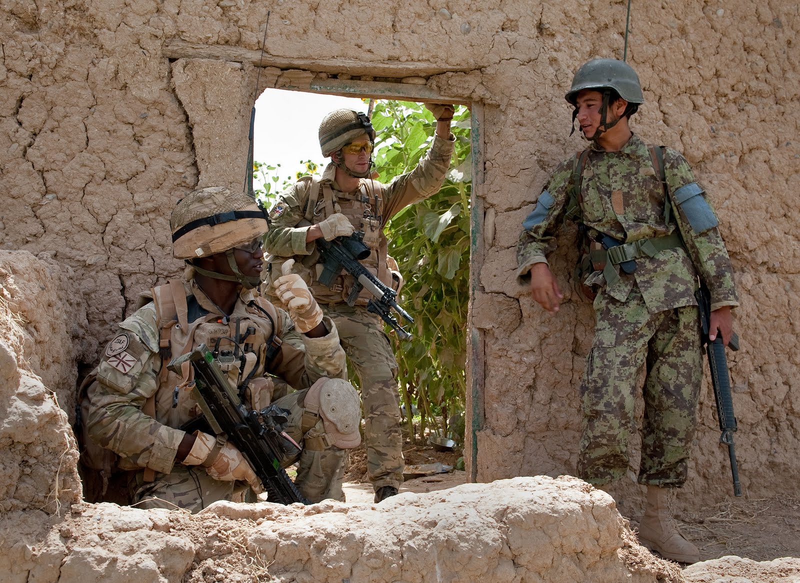 Helmand Blog - Afghanistan: More Day 3 Op Tor Shezada Images