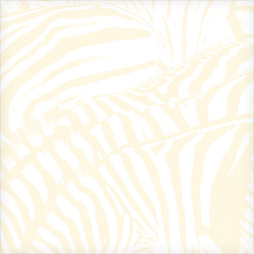 VARIOUS ECSTASIES: SNAVE's TOP FIFTY ALBUMS OF 2010 (the final edition!)