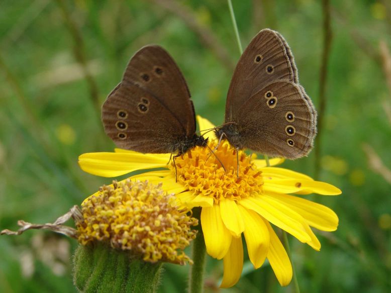 BGender Clinic, Bangkok, Thailand