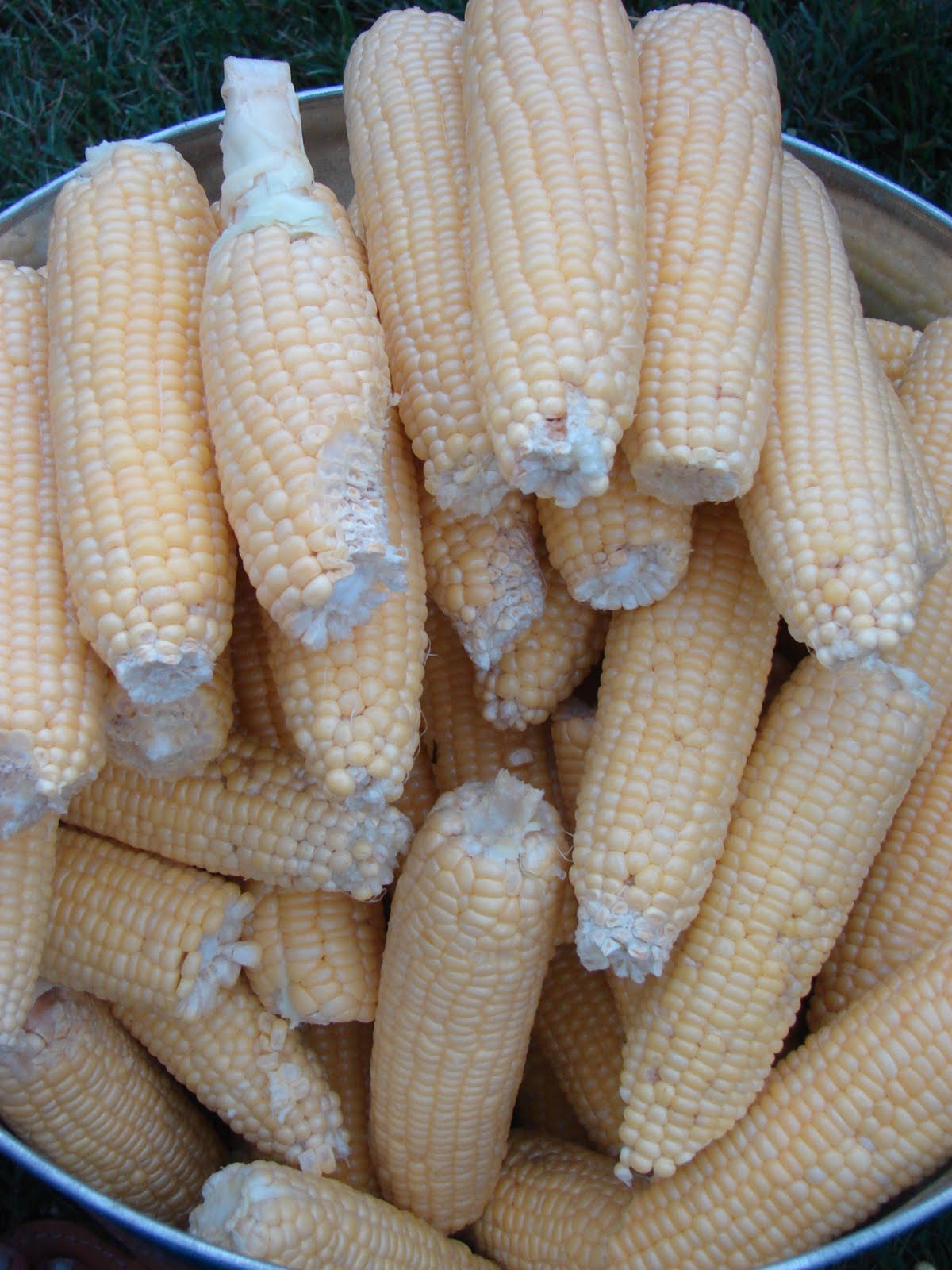 Cobblestone Farms: Sweet Corn - mmm....mmm....