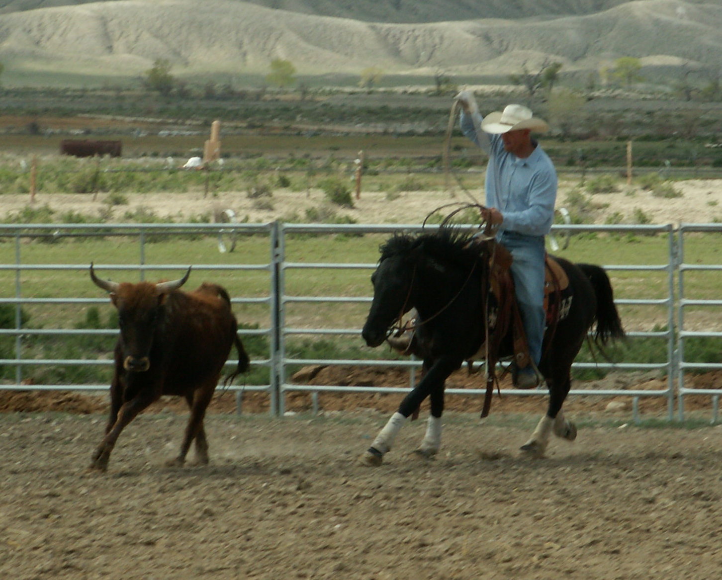Tate Weber's Horses: Horse Training