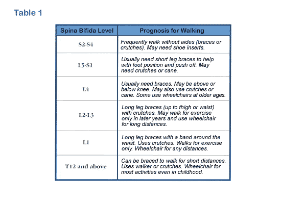 I want to learn About Spina Bifida: Learning about SB: A mile-o-what?