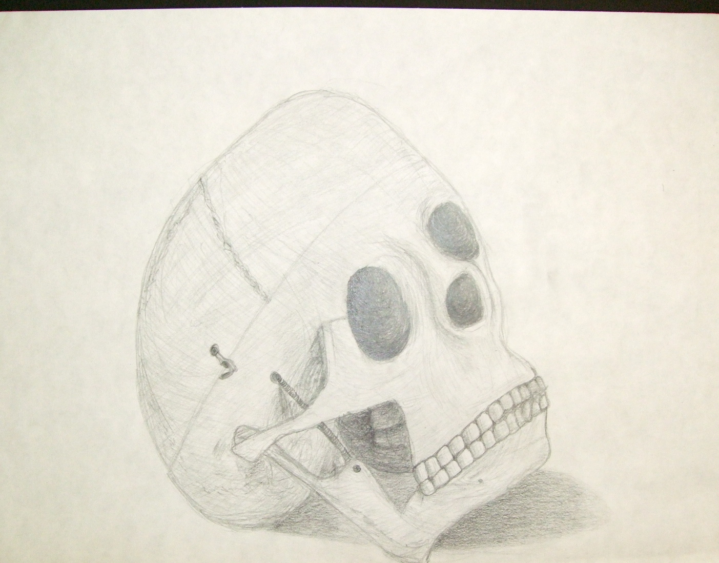 highschoolart: Human Skull Contour Drawing High School Art
