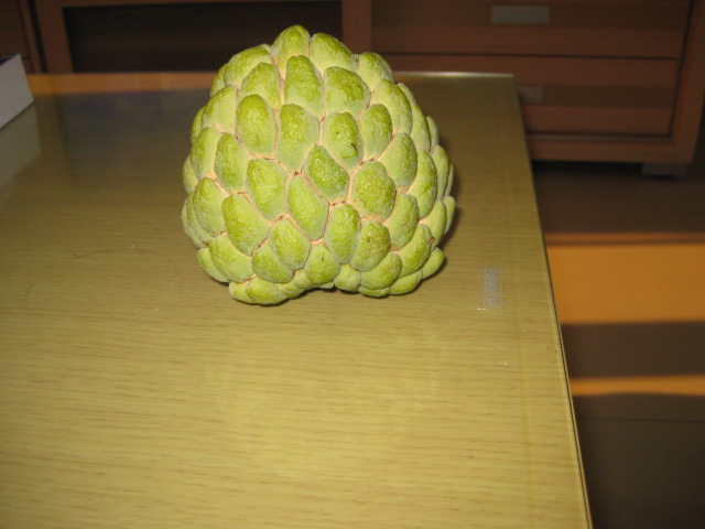 Erin's Endeavors: Buddha Head Fruit
