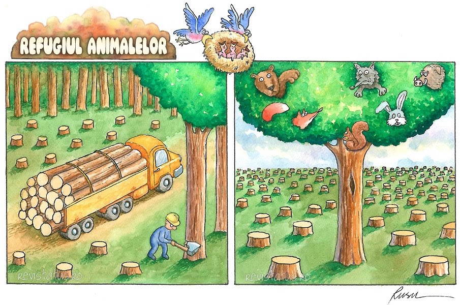 Smoking Cool Cat: Despre defrisare