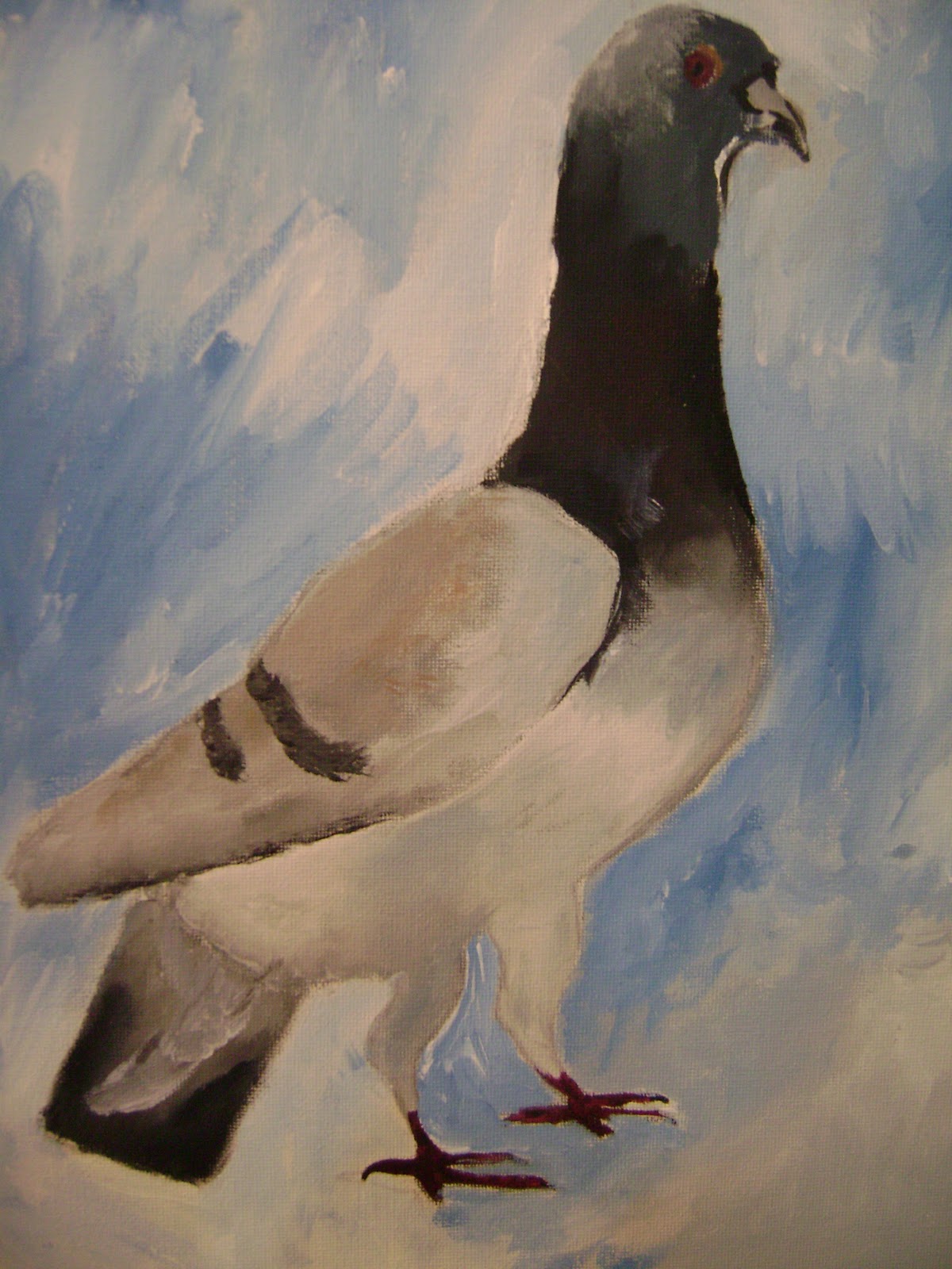 Cadouri Alese: Porumbel-pictura pe panza in acrilic-30x40cm