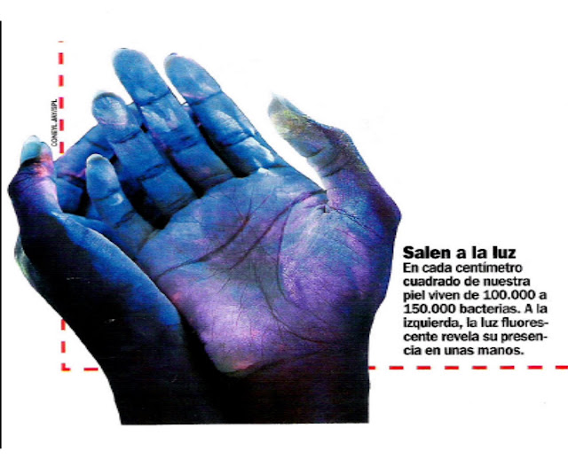 LABATE LAS MANOS: MICROBIOS EN LAS MANOS