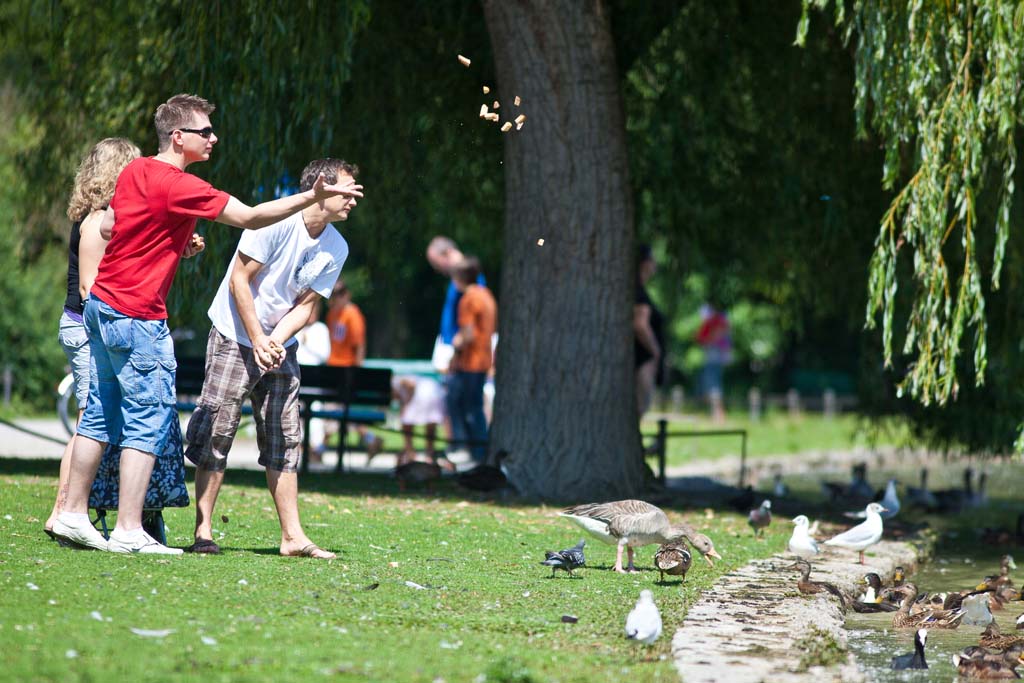 Photography 1: People and Place: 15.Public space, public activity