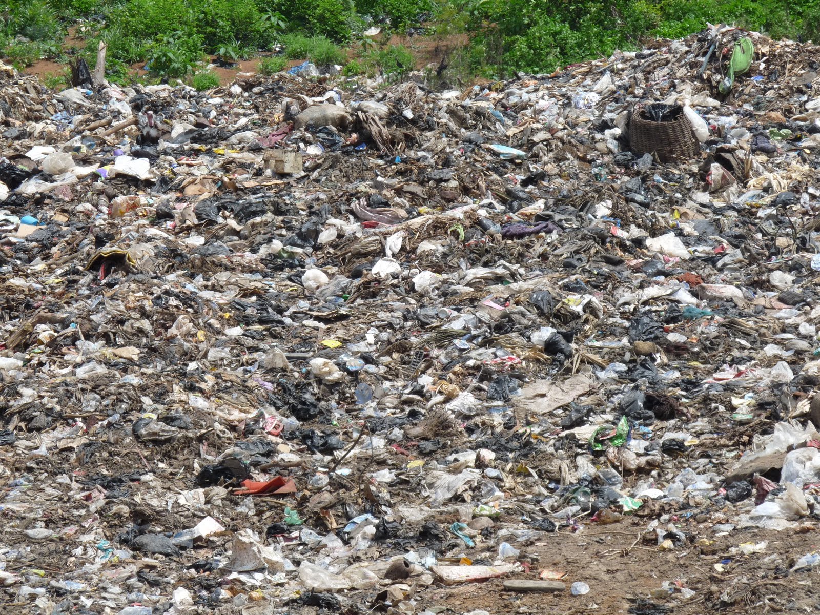 Managing Waste for Quality Life!: Holistic Waste Management Strategies ...