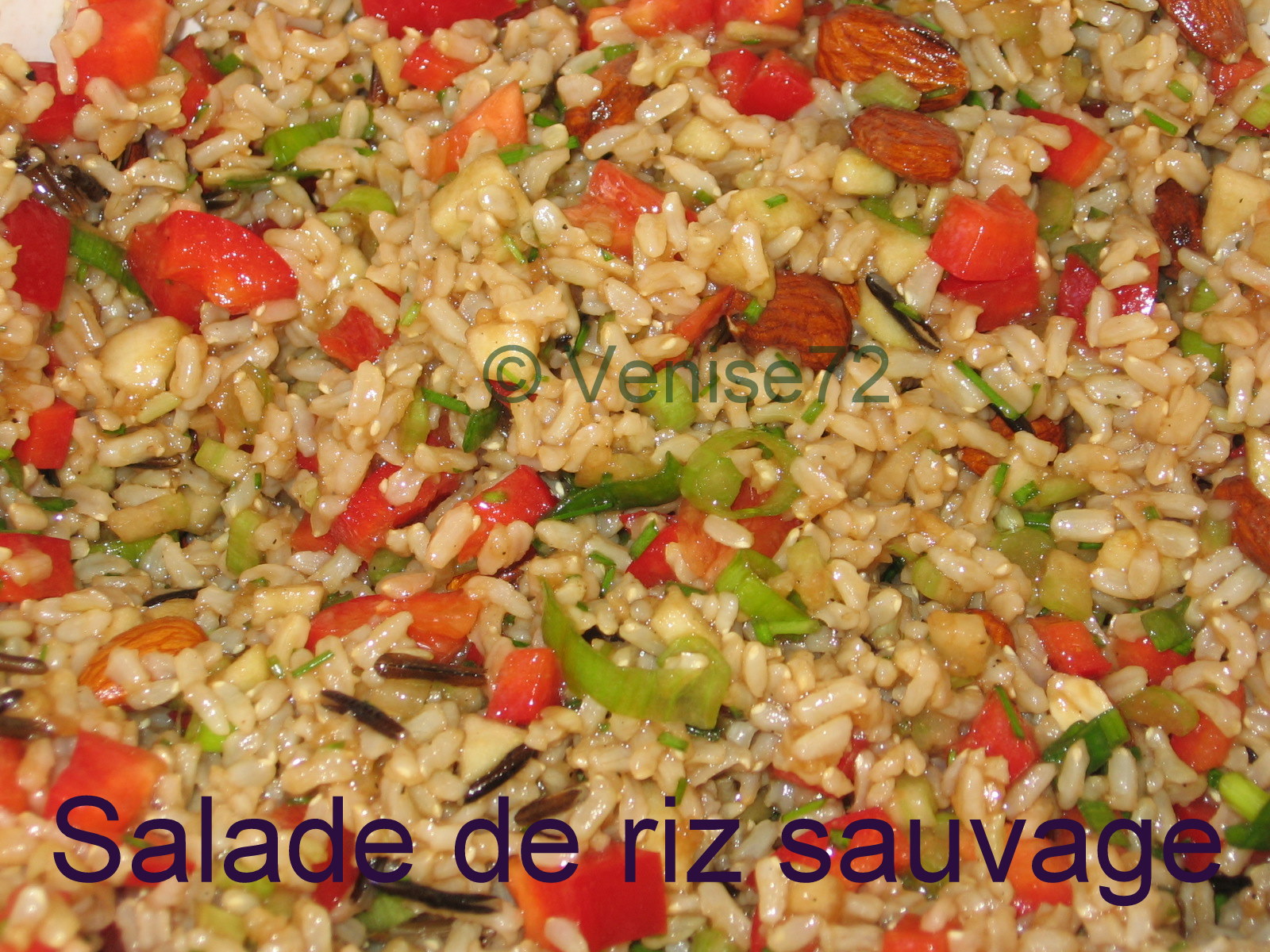 Les découvertes de Venise: Salade de riz sauvage
