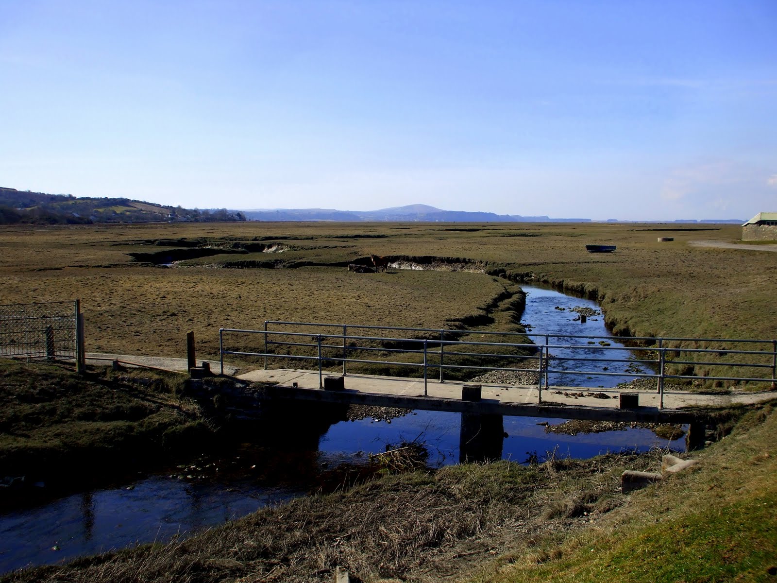Brew Wales: Crofty Inn, Crofty, Gower