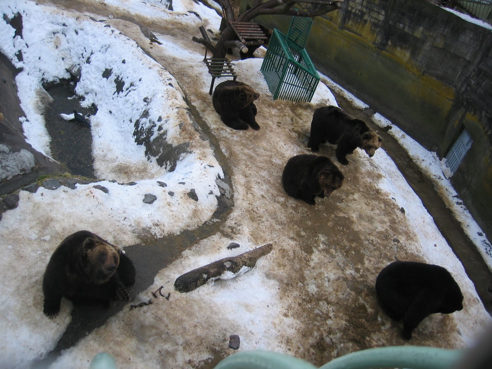 Little Lamb's Kitchen ~.~: 23 Dec 07 (Japan's Emperor's Birthday) - Day ...