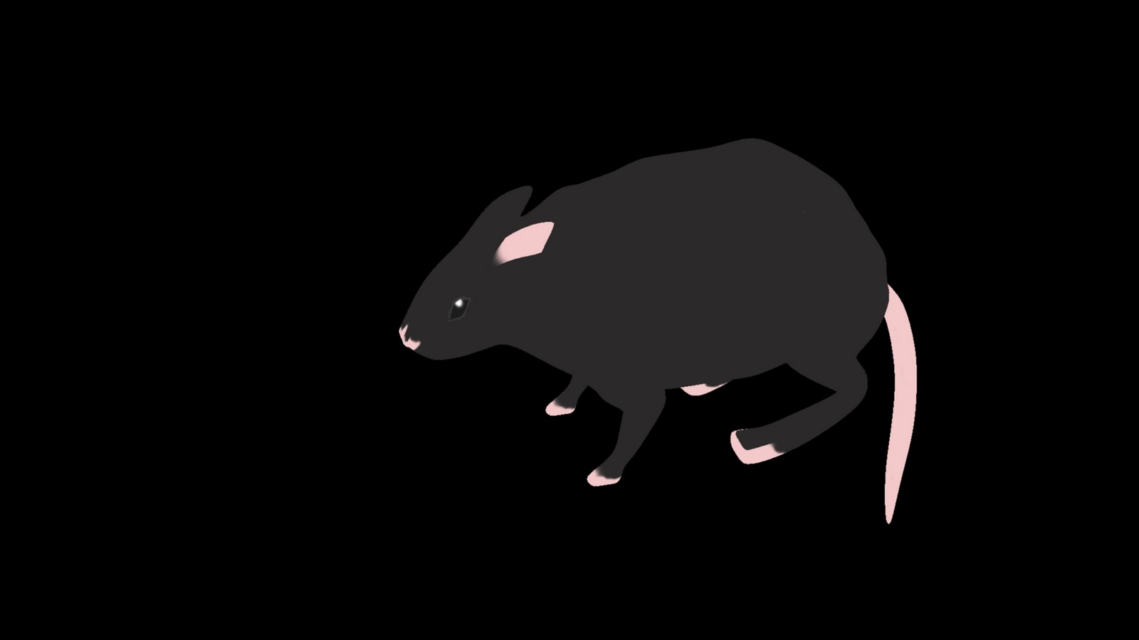 ANI09206 Digital Environments/Visual Studies: Texturing the rat