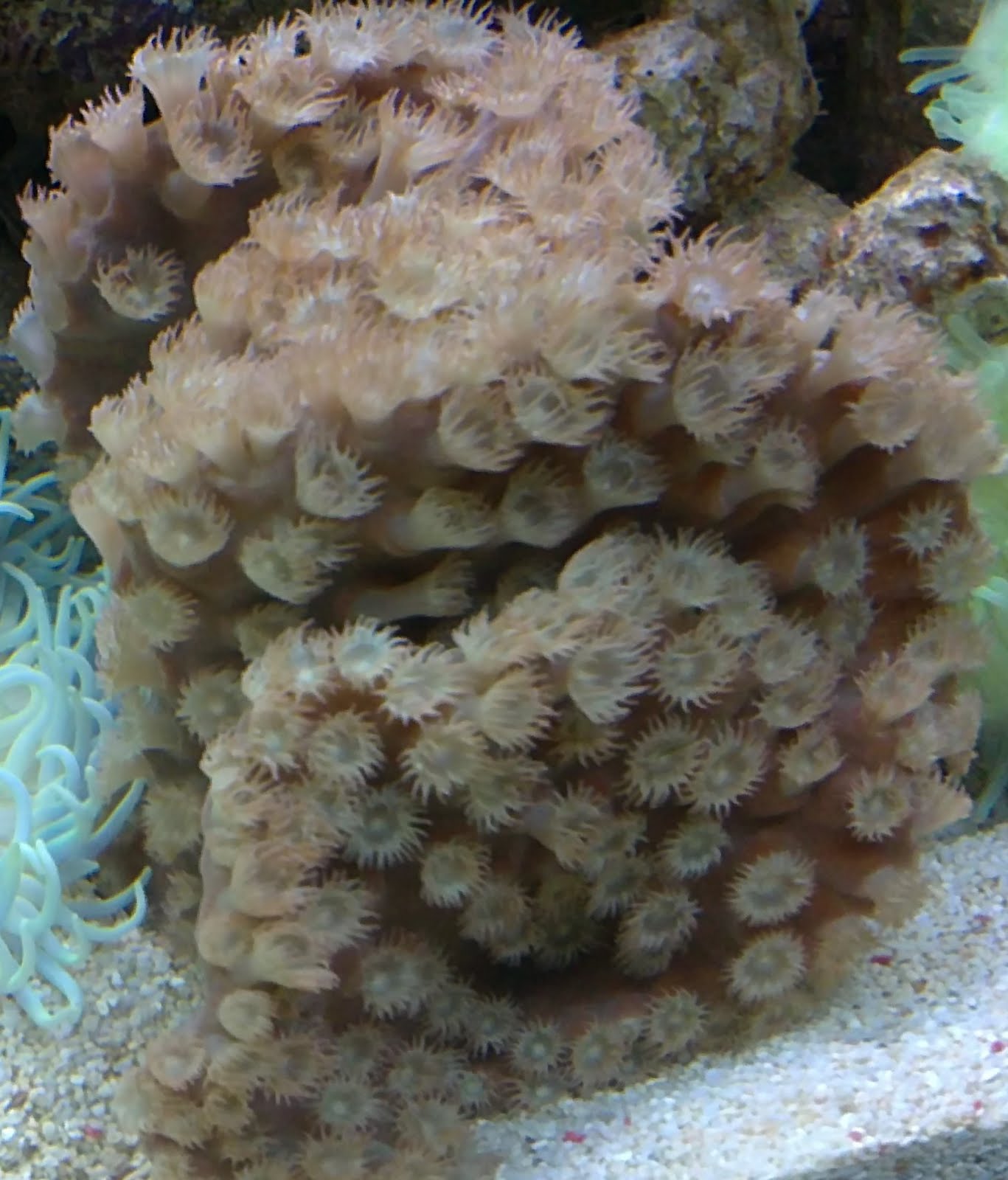 Marine Paradise: 2010-08-01