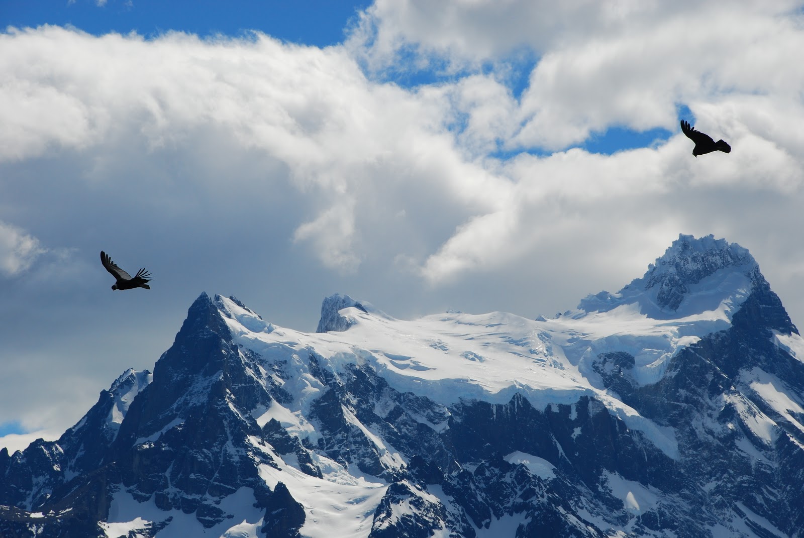 The Nomadic Pinoy: Mirador Condor