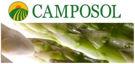 EXPAR.PERU: Camposol lideró exportación de espárragos entre enero y julio