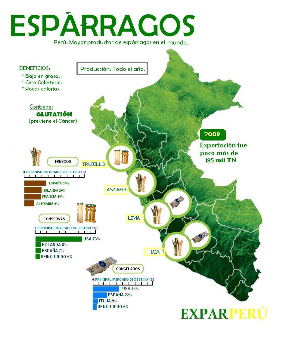 EXPAR.PERU: INFOGRAFÍA