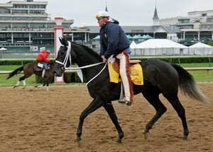 Agricultural Law: The Dark Side: Horse Racing