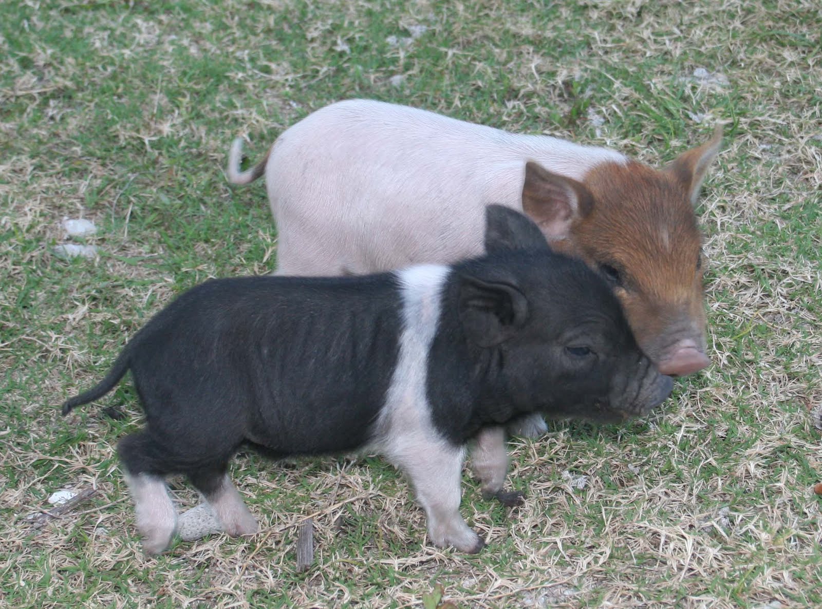 Voyage of the SV Kamaya: Tonga, the place where time begins!