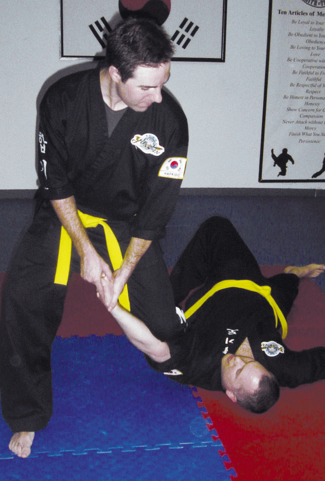 artes marciales: hapkido
