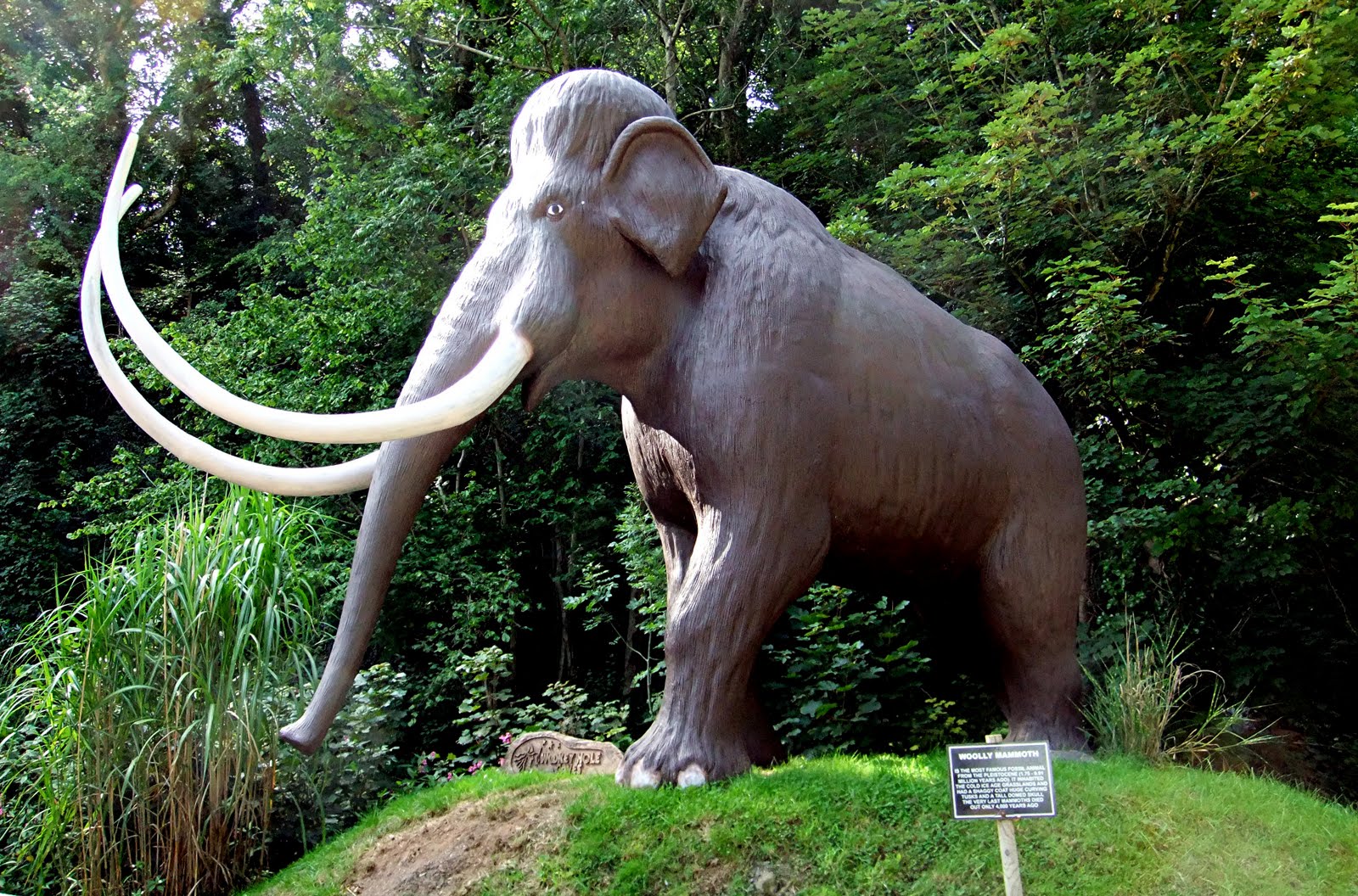 ShukerNature: WHEN THE MAMMOTHS CAME TO TOWN