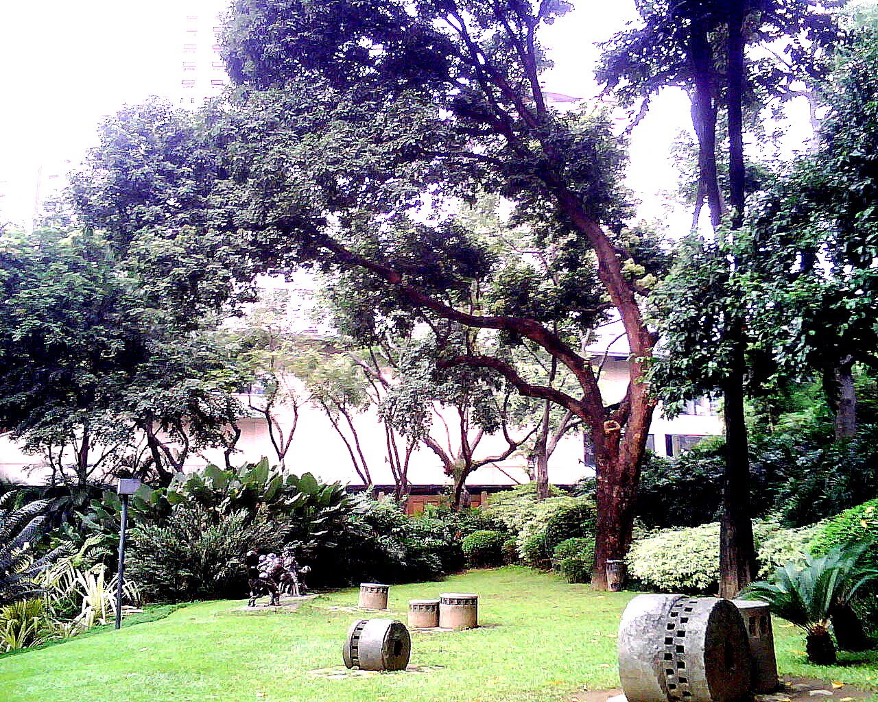Stop and Smell The Roses: Communing With Nature, Makati